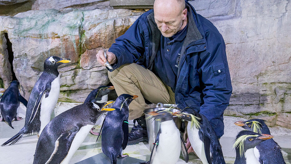 Annual animal stocktake at Hellabrunn Zoo - Tierpark Hellabrunn