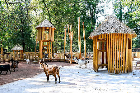 Tierparkhistorie - Tierpark Hellabrunn