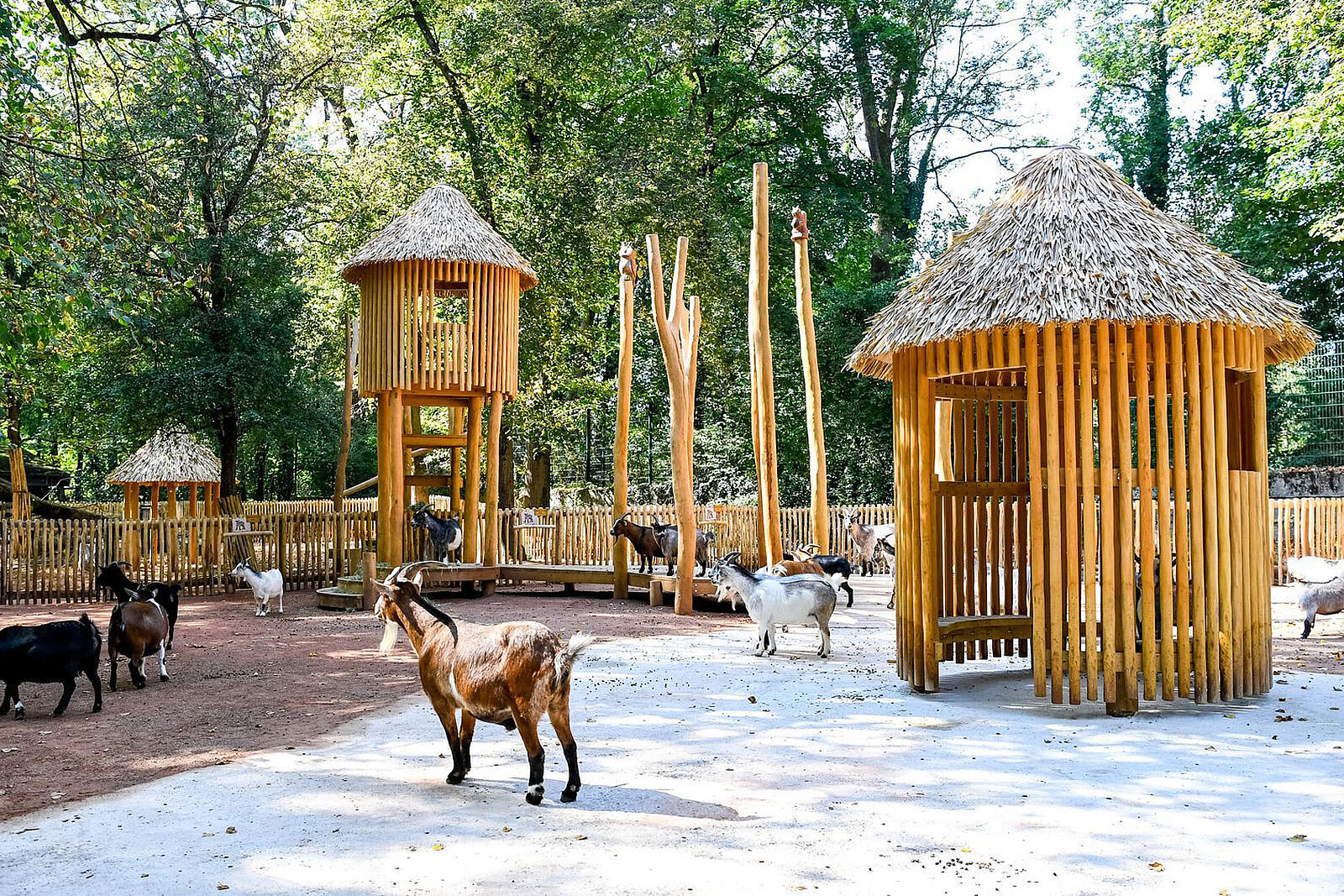 History - Tierpark Hellabrunn