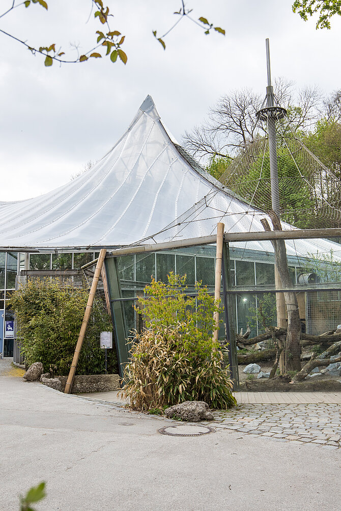 Bautagebuch Dschungelwelt - Tierpark Hellabrunn