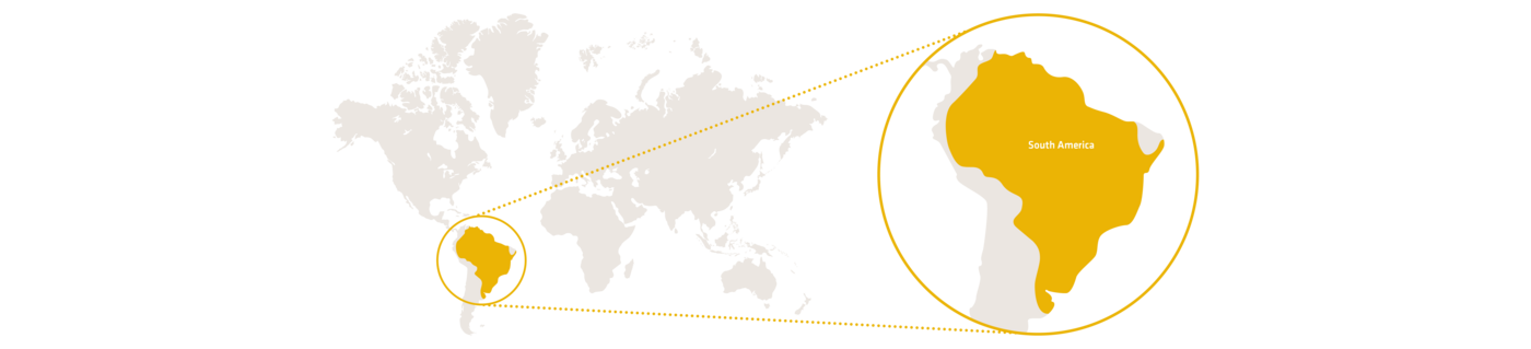 Capybara - Tierpark Hellabrunn