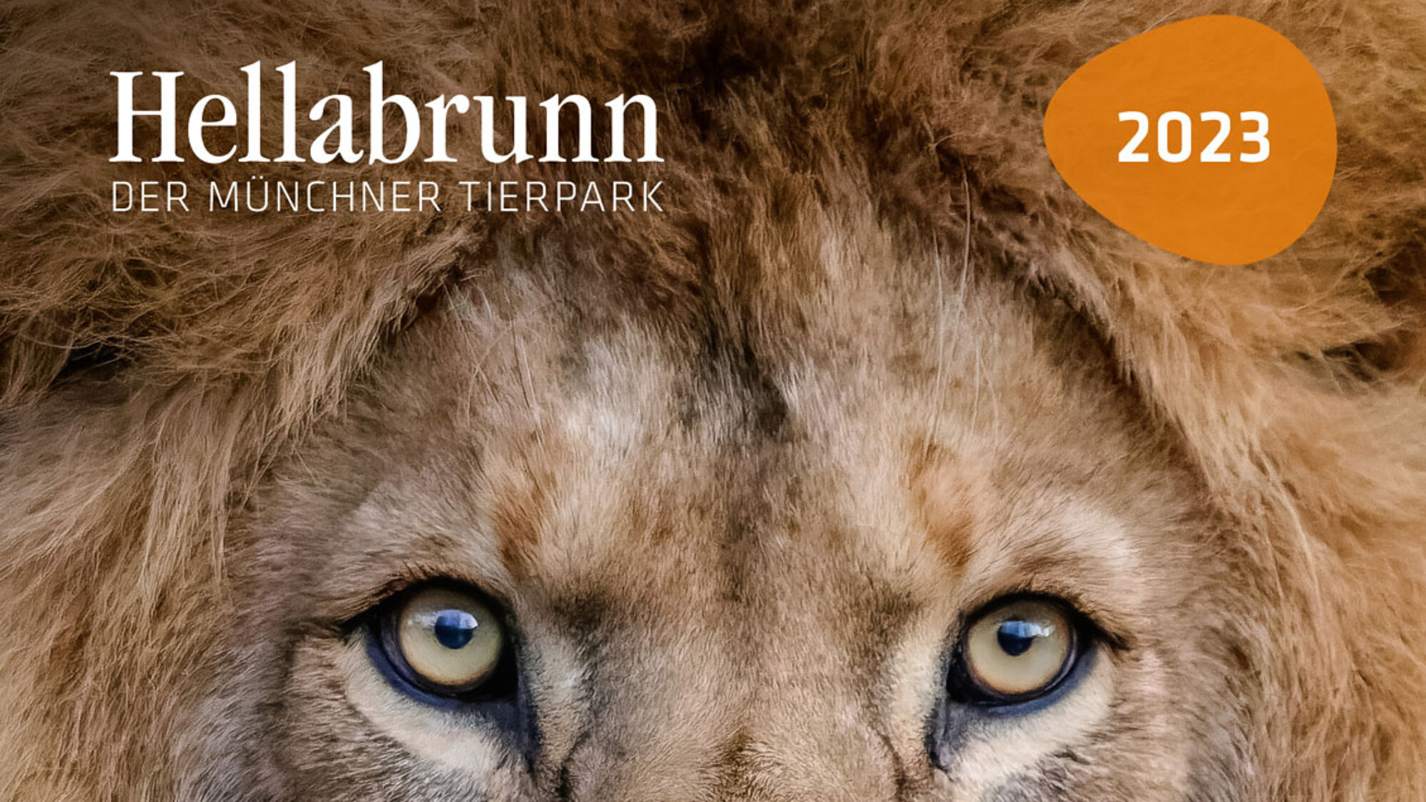 The new Hellabrunn Zoo calendar is here! - Tierpark Hellabrunn