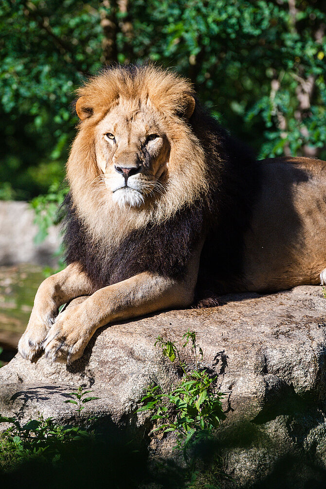 Partner und Sponsoren - Tierpark Hellabrunn