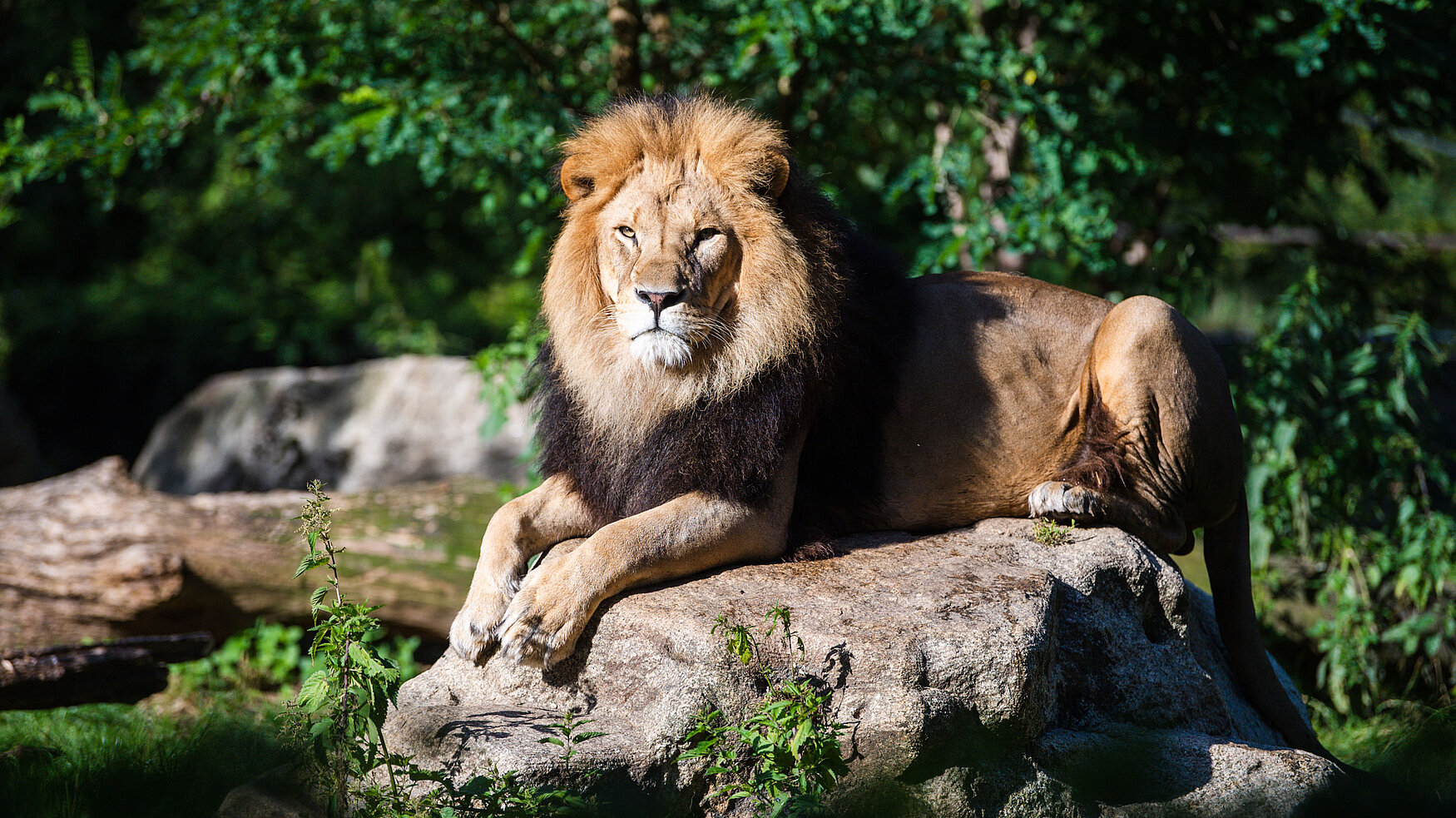 Partner und Sponsoren - Tierpark Hellabrunn
