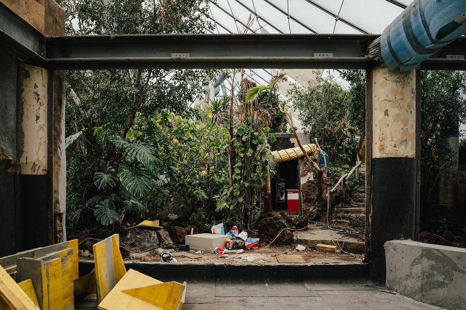 Update zu den Bauarbeiten in der Hellabrunner Dschungelwelt - Tierpark ...