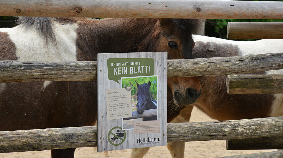 Homepage - Tierpark Hellabrunn