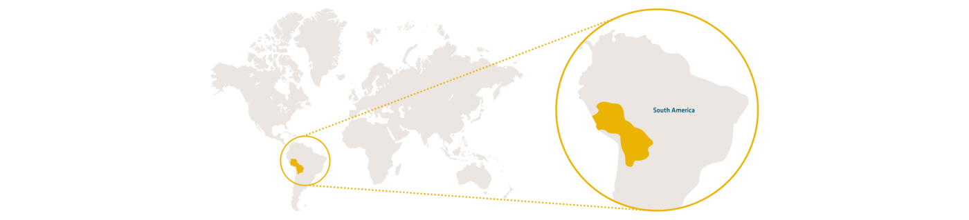 Alpaca - Tierpark Hellabrunn