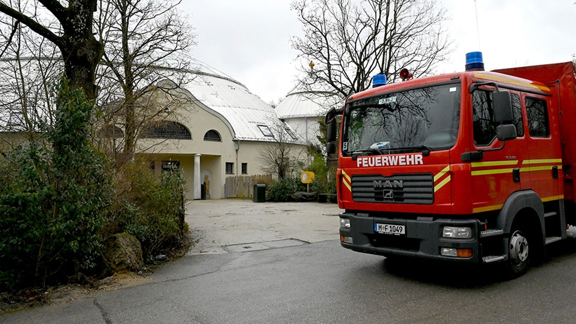 Fire safety at the zoo: Hellabrunn and the Munich Fire Department ...