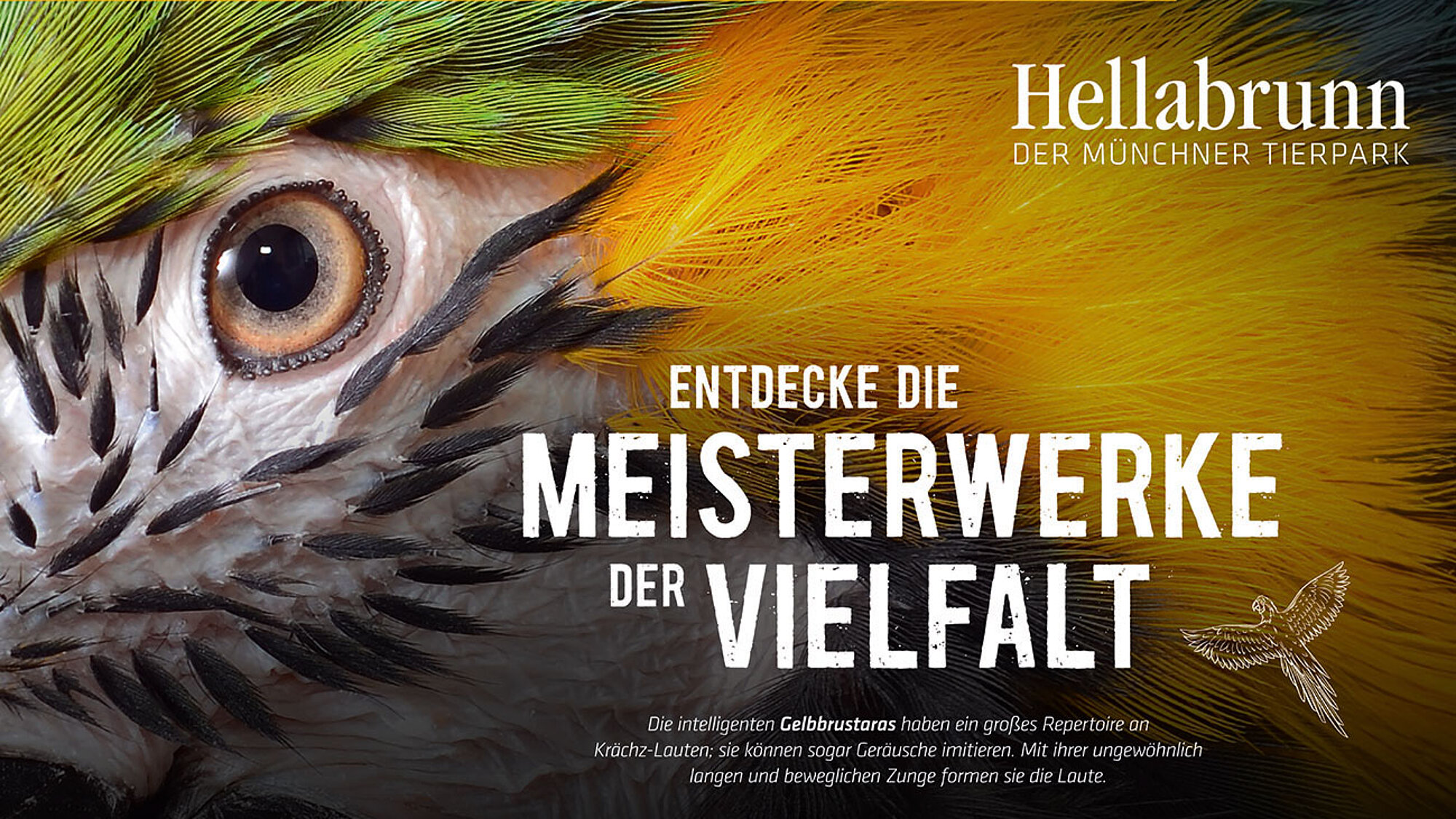 Tierpark Hellabrunn startet neue Kampagnen - Tierpark Hellabrunn