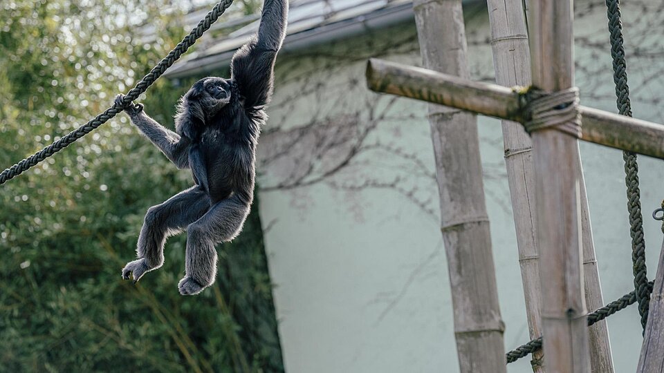 Homepage - Tierpark Hellabrunn