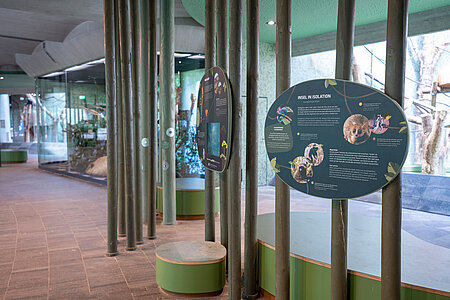 Exhibitions at Hellabrunn - Tierpark Hellabrunn