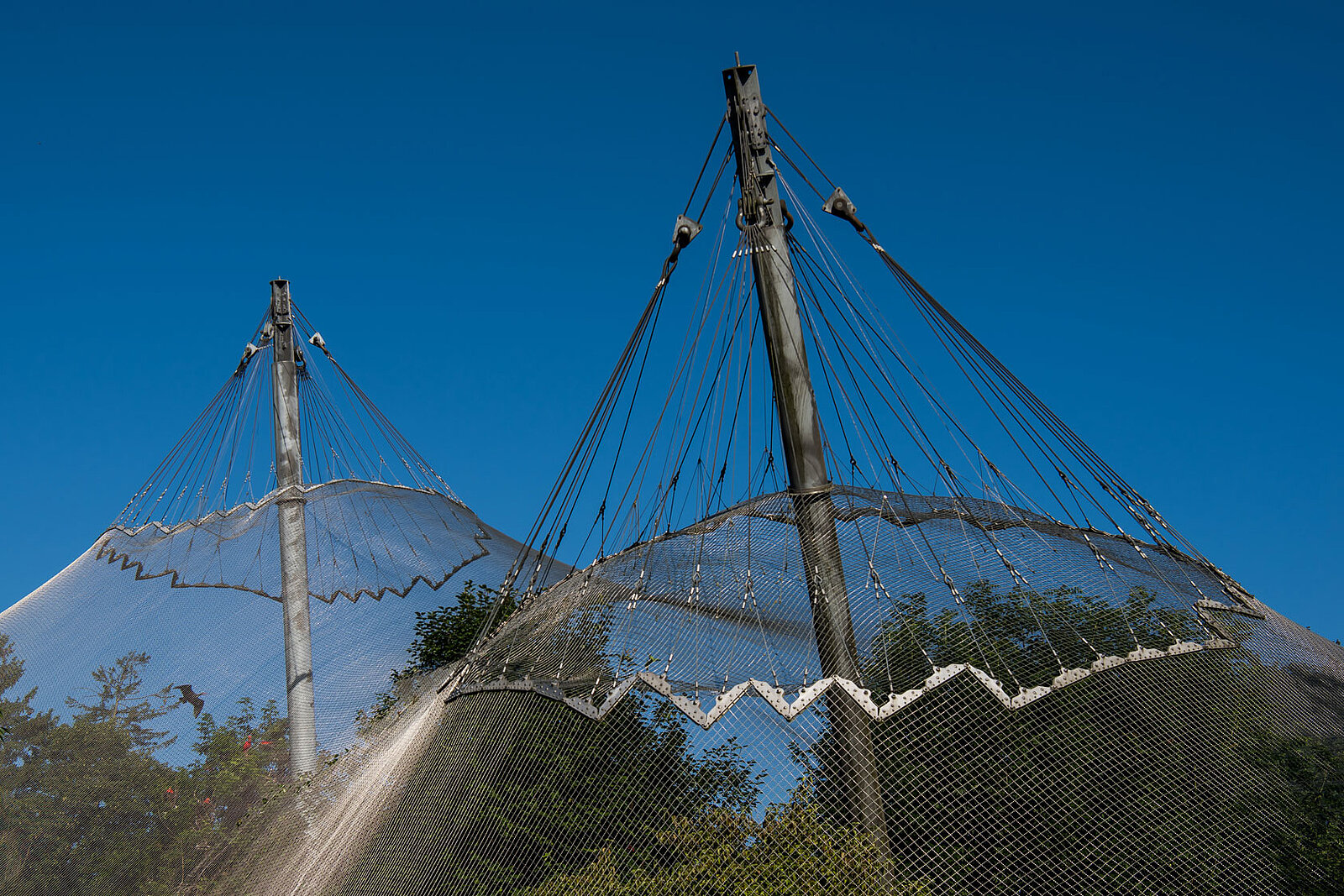 Tierparkhistorie - Tierpark Hellabrunn
