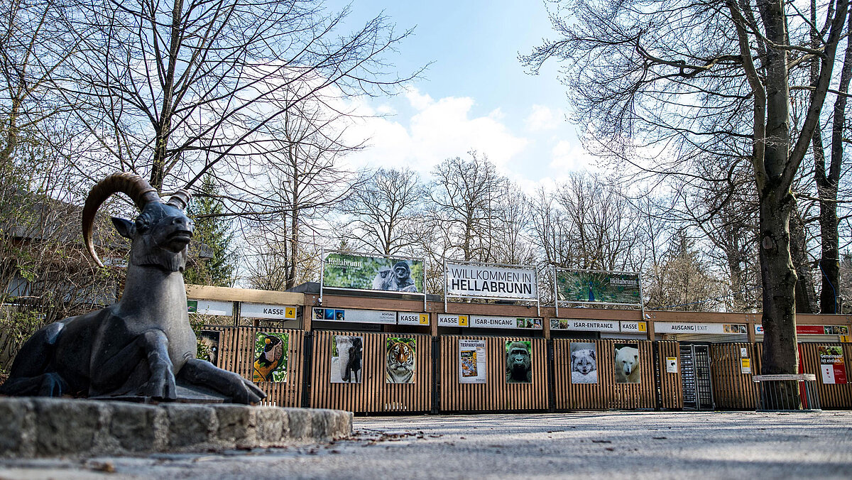 Hellabrunn ab Freitag, den 18.02.2022 wieder geöffnet - Tierpark Hellabrunn