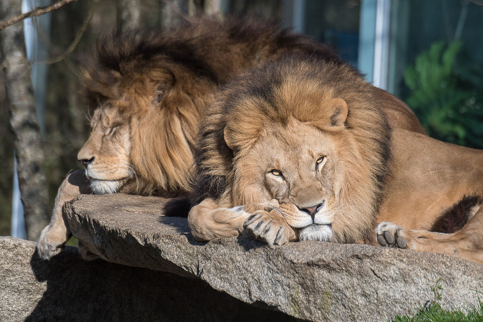 Tierpflegertreffpunkte und Trainings - Tierpark Hellabrunn