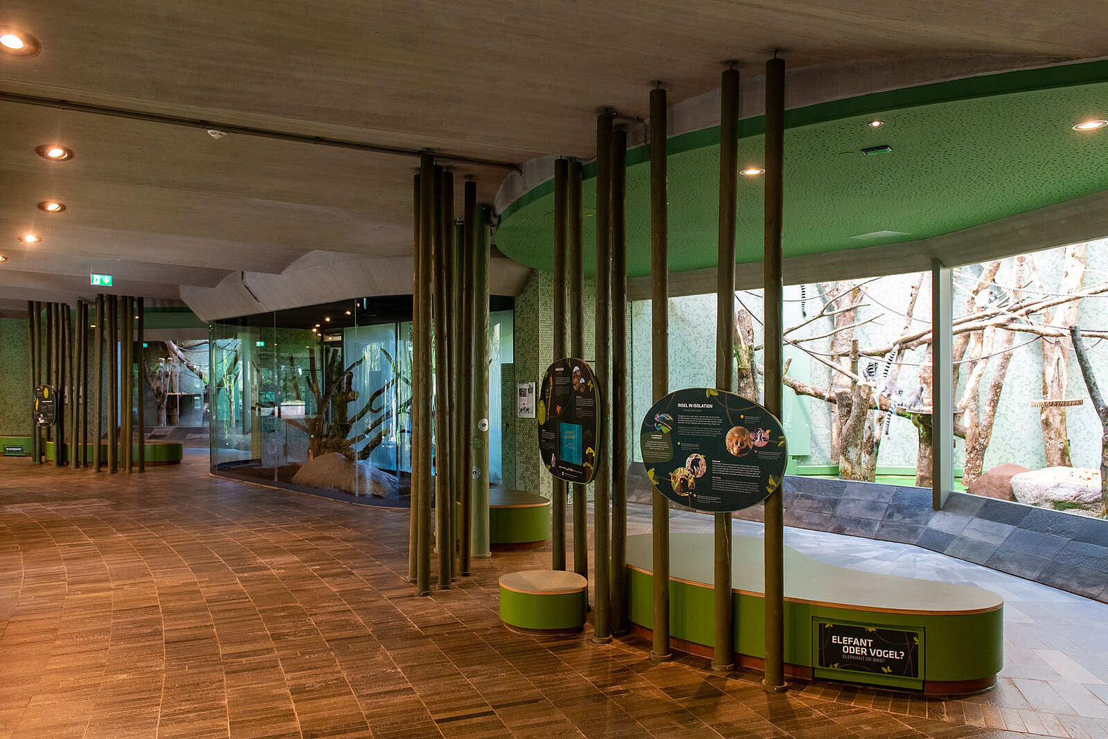 Welt der Affen - Tierpark Hellabrunn