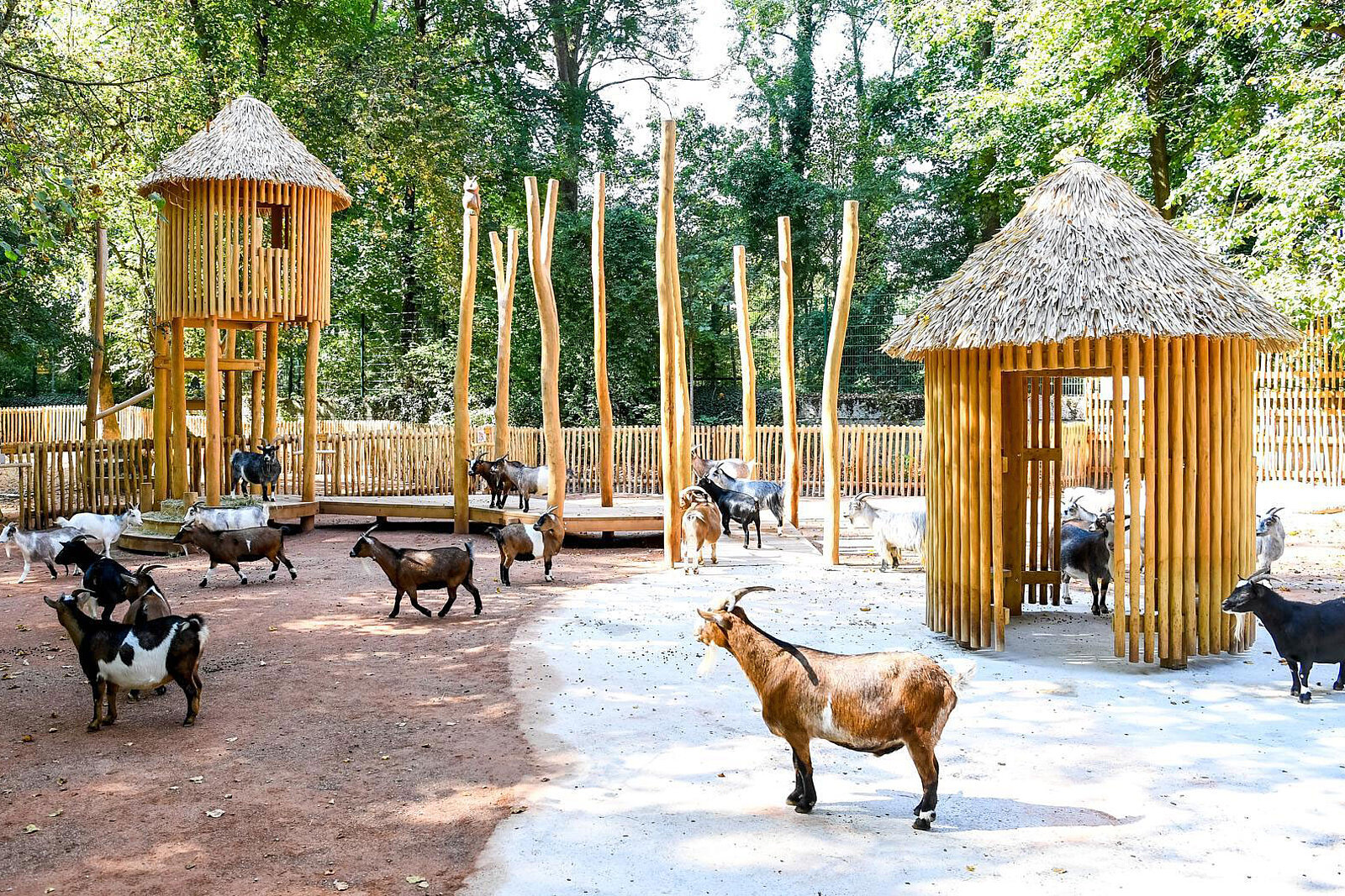 Geozone Afrika - Tierpark Hellabrunn