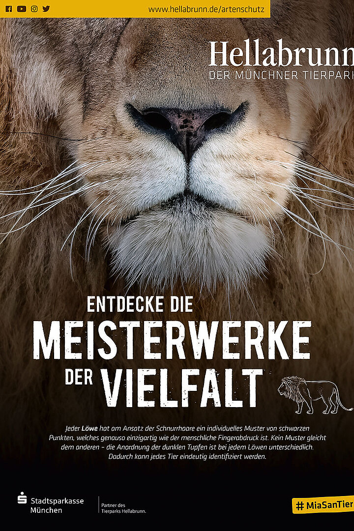 Tierpark Hellabrunn startet neue Kampagnen - Tierpark Hellabrunn
